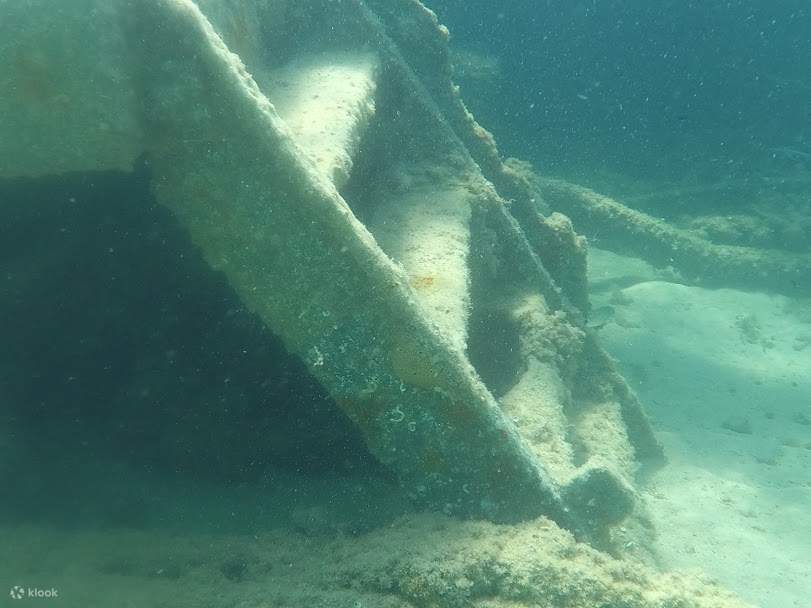 与 Padi 5 星级潜水中心一起在马其顿（希腊）进行半日浮潜之旅 难忘的水下体验 Klook客路
